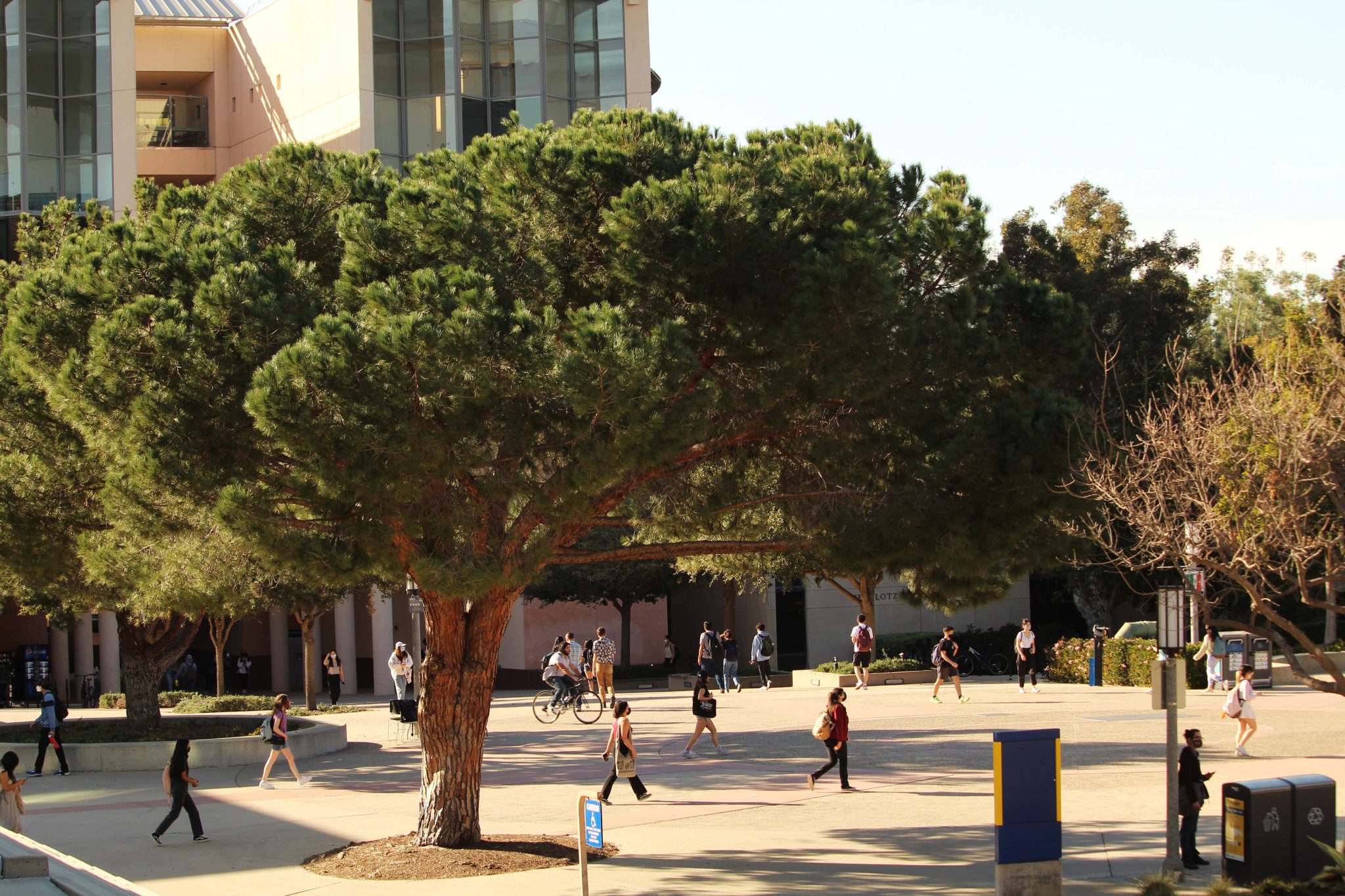 Career Explorations - UC Irvine Graduate Division